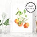 Watercolor Orange Print, Printable Digital Art, Orange Citrus Artwork ...