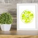 Watercolor Lime Slice Print, Modern Lime Kitchen Decor, Green Decor ...