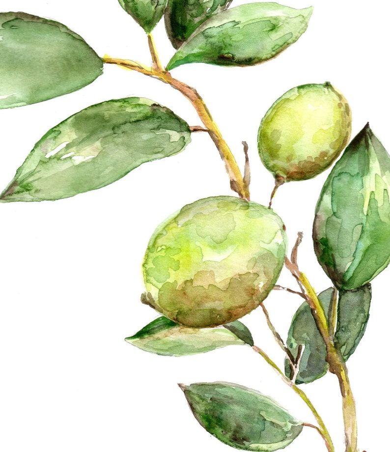 Watercolor Lime Print Printable Digital Art Lime Citrus | Etsy