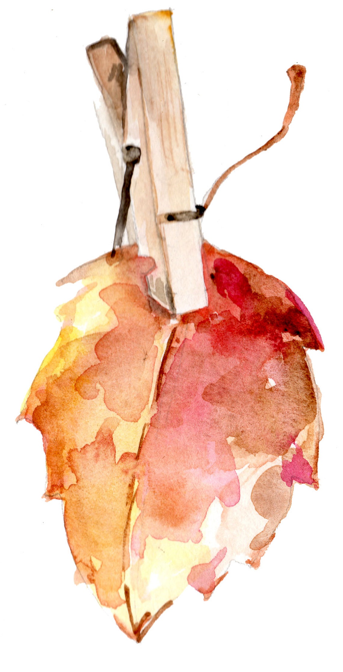 Fall Autumn Watercolor Greeting Cards Fall Leaves Greeting - Etsy