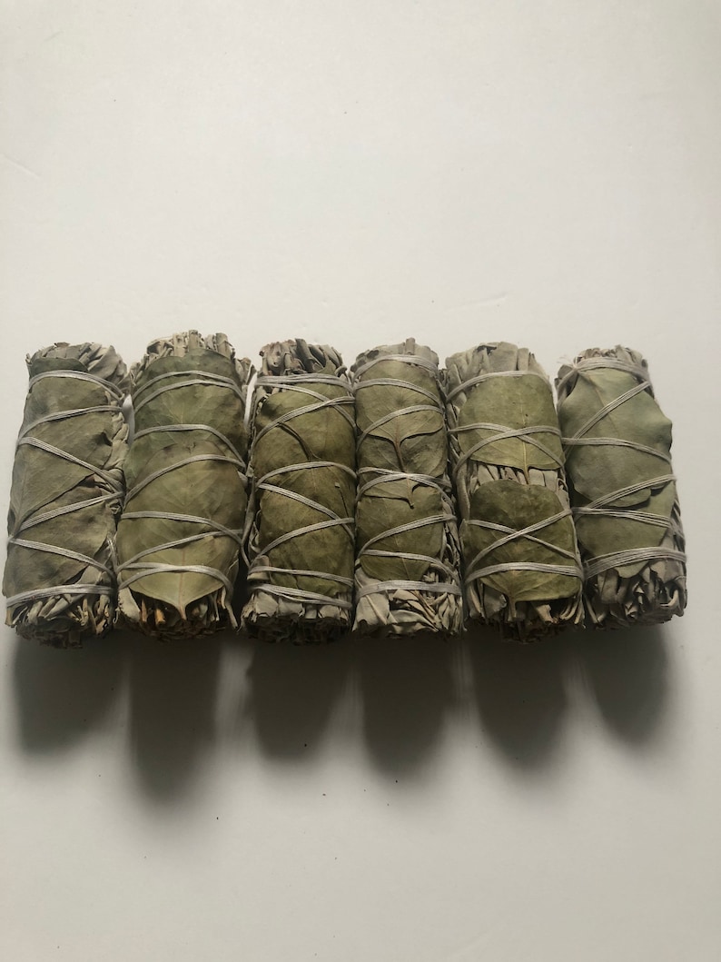 Eucalyptus and White Sage Sticks - Etsy
