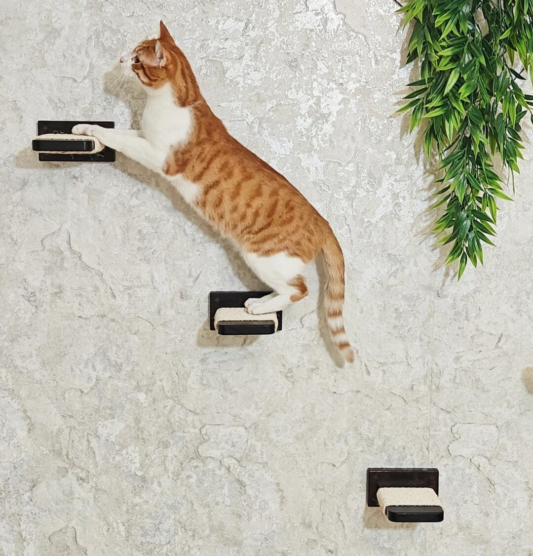 Wall Cat Step Cat Wall Ladder Wall Mounted Cat Steps - Etsy