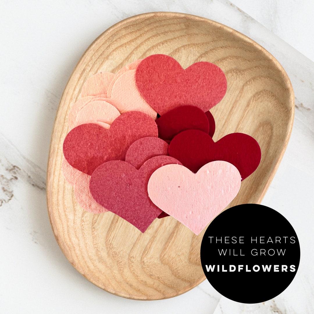 Valentines Day Seed Paper Hearts-paper Hearts-seed Paper Hearts-seed ...