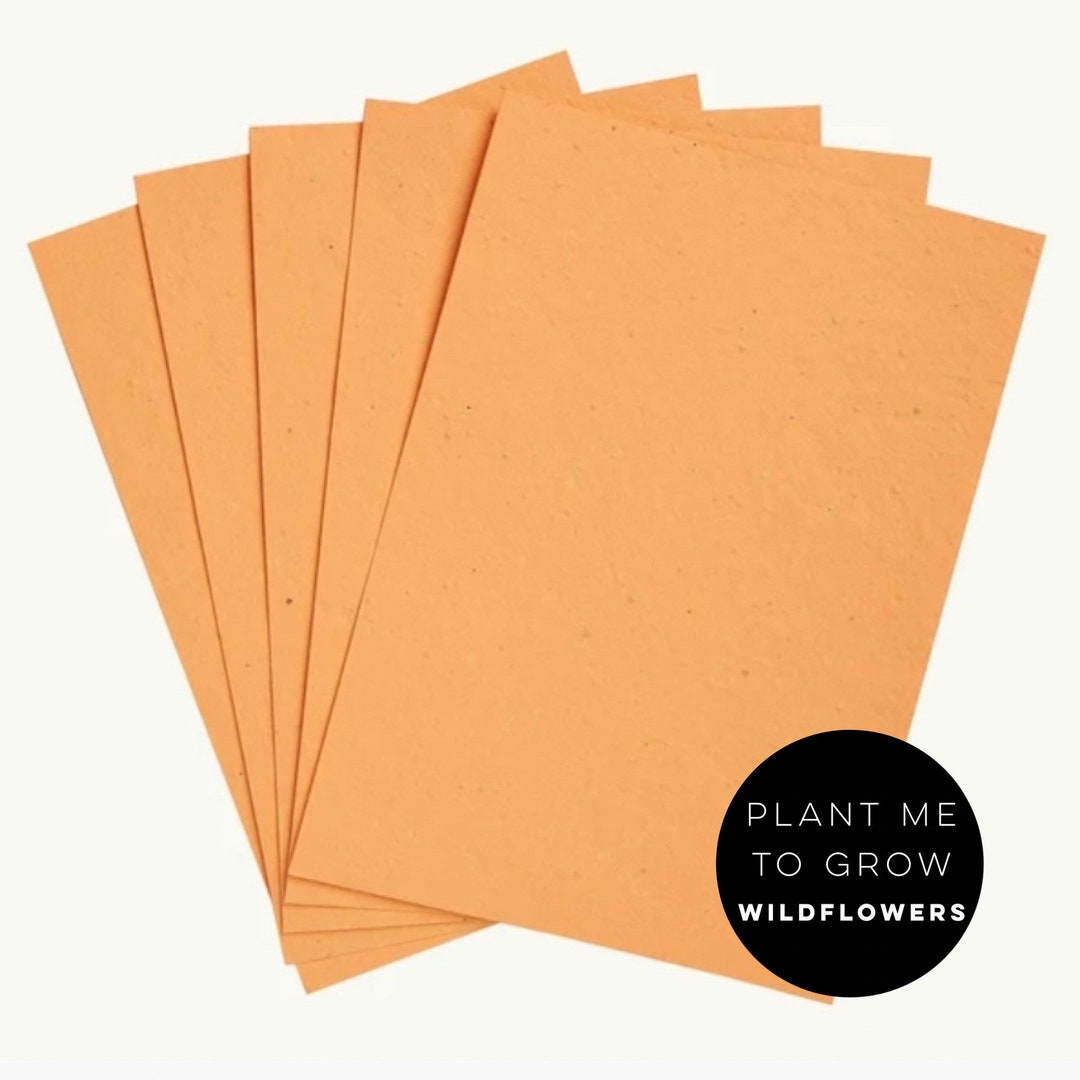 A4 Seed Paper-bulk Plantable Paper-seed Paper-wildflower Paper ...