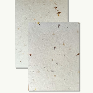 A4 Seed Paper | Bulk Plantable Paper | Petal Paper | Wildflower Paper ...