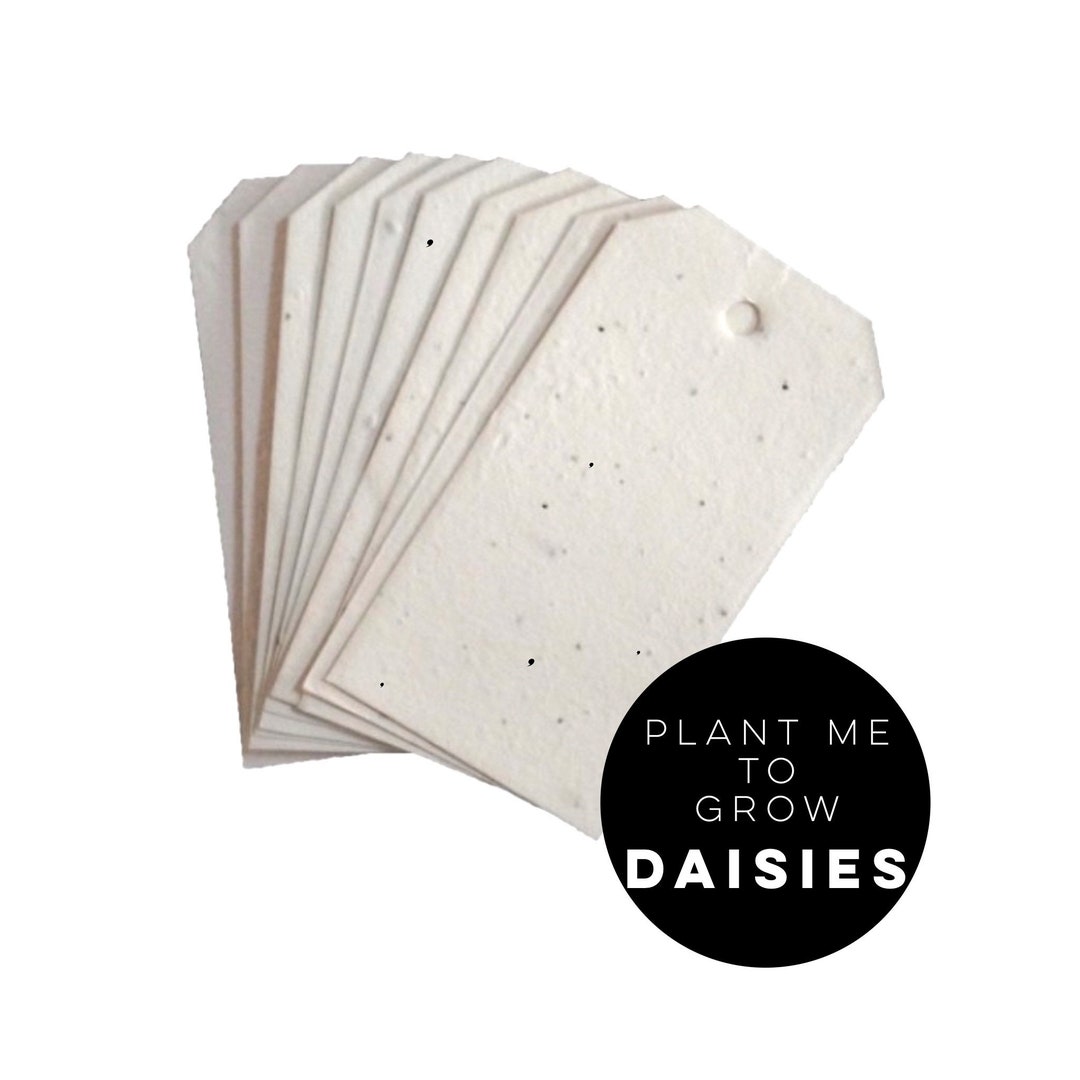 Plantable Seed Paper Gift Tags - Grow Daisies (set of 10) - Etsy
