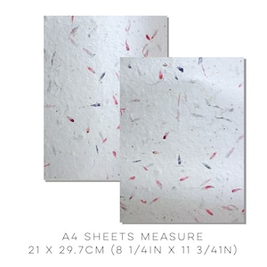 A4 Seed Paper-bulk Plantable Paper-petal Paper-wildflower Paper ...