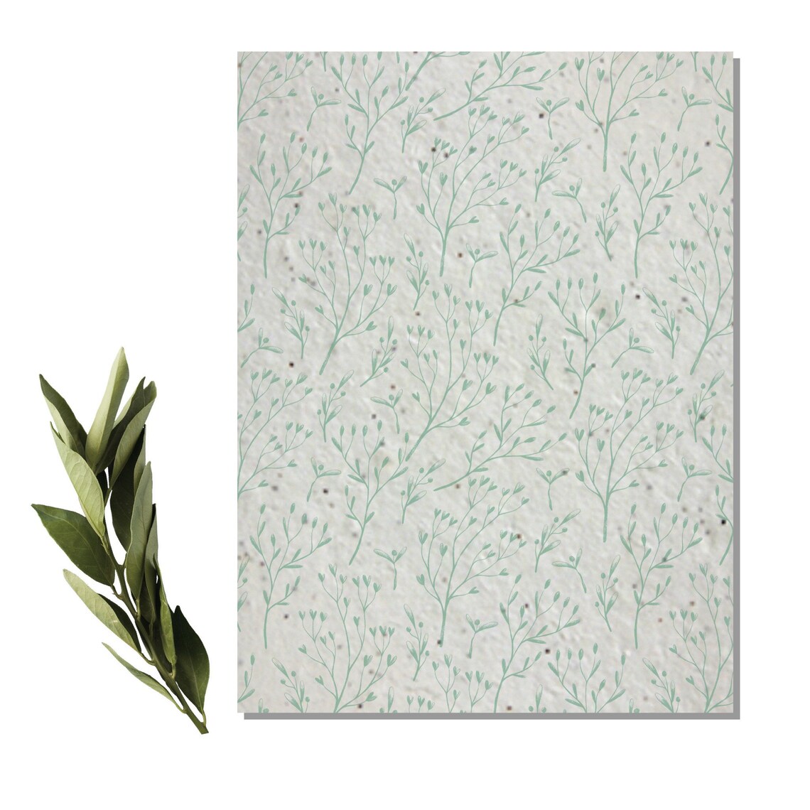 A4 Seed Paper-bulk Plantable Paper-petal Paper-wildflower Paper ...