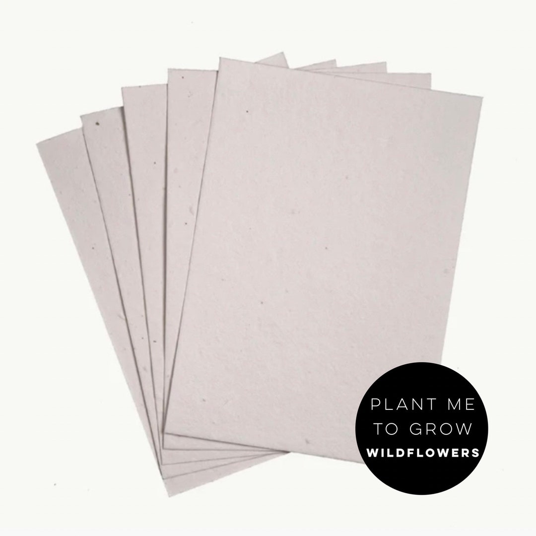 A4 Plantable Seed Paper: Wildflower Invitation Paper (300gsm) - Etsy