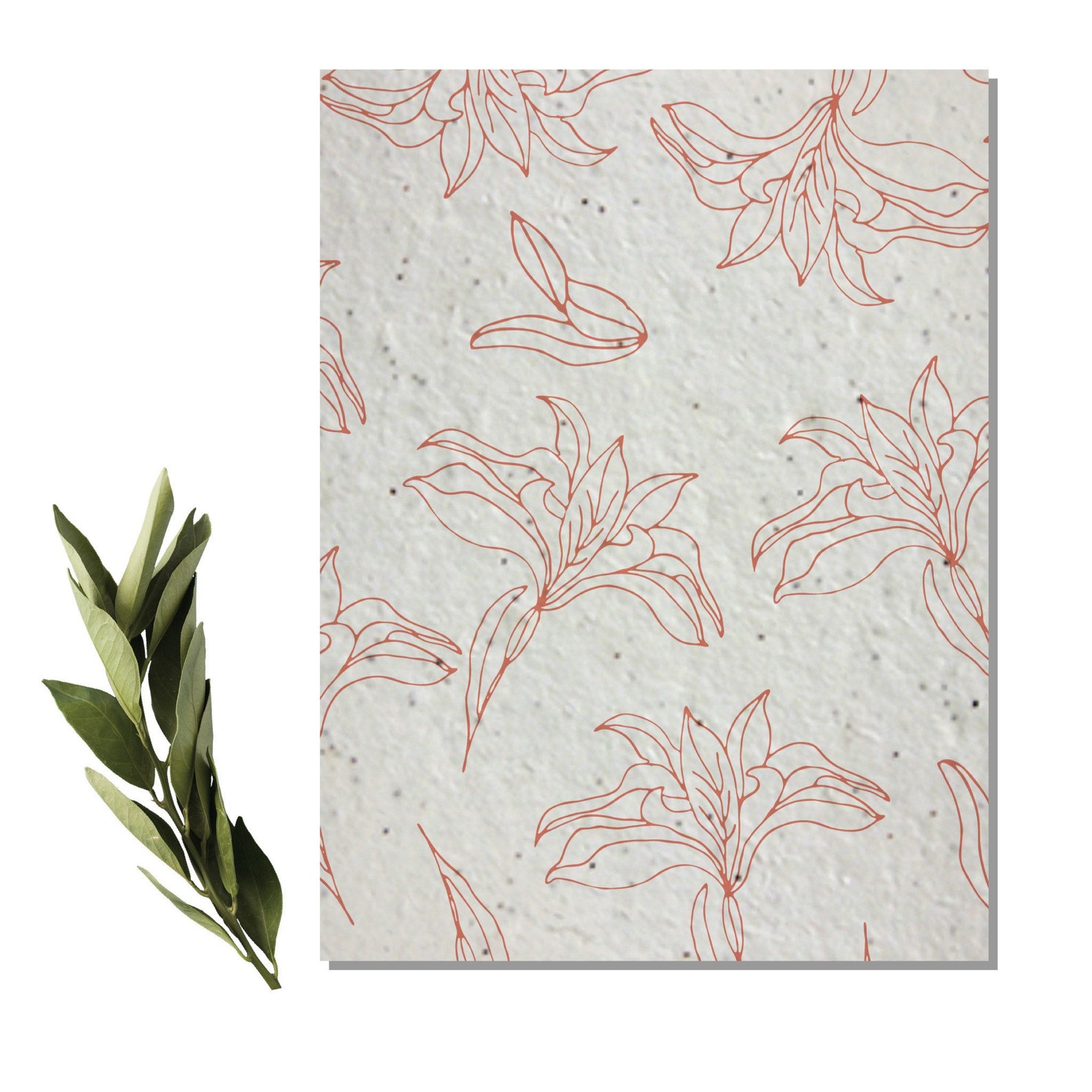 A4 Seed Paper-bulk Plantable Paper-petal Paper-wildflower Paper ...