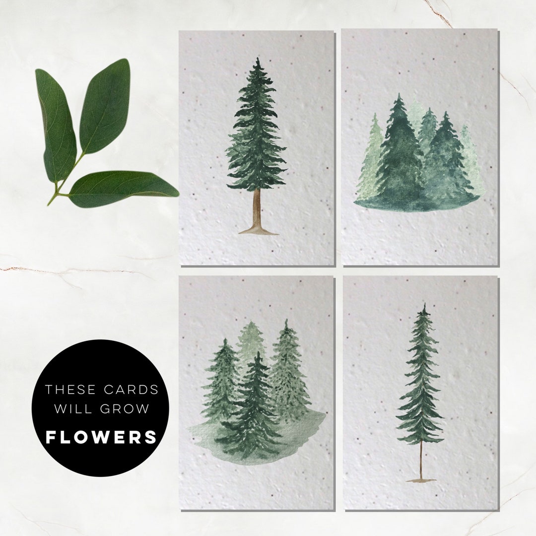 4 Set Plantable Christmas Cards | Thank You Cards | Seed Paper | Pine ...