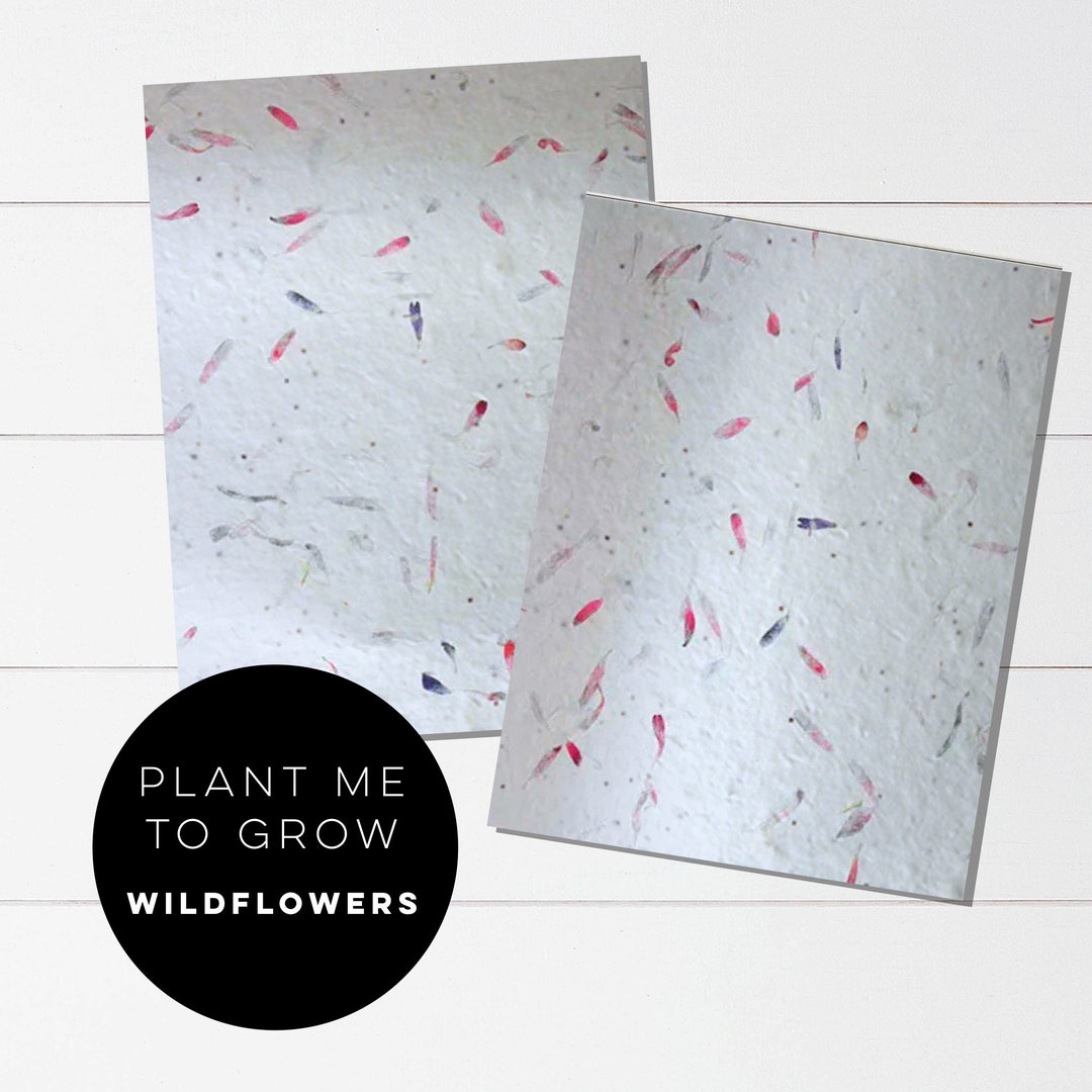 A4 Seed Paper-bulk Plantable Paper-petal Paper-wildflower Paper ...