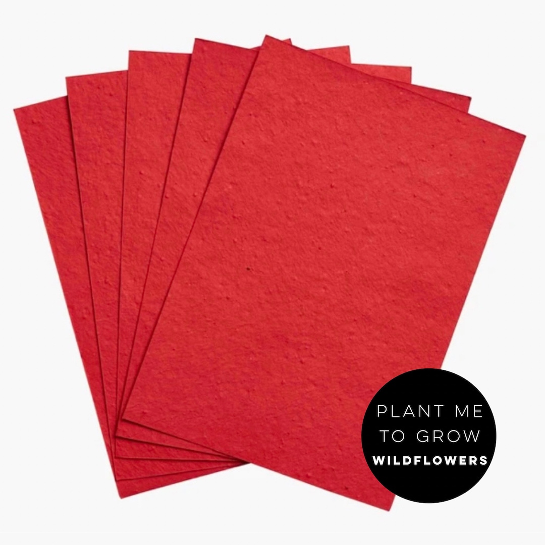 A4 Seed Paper-bulk Plantable Paper-seed Paper-wildflower Paper ...