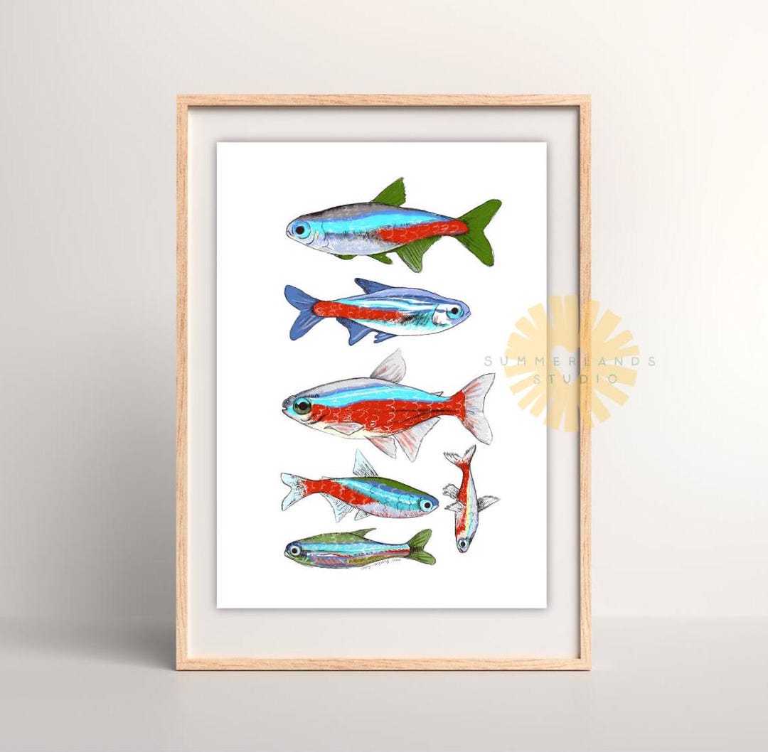 Fruits of the Sea - Fish | Seafood | Gouache Artwork | Giclee Print ...