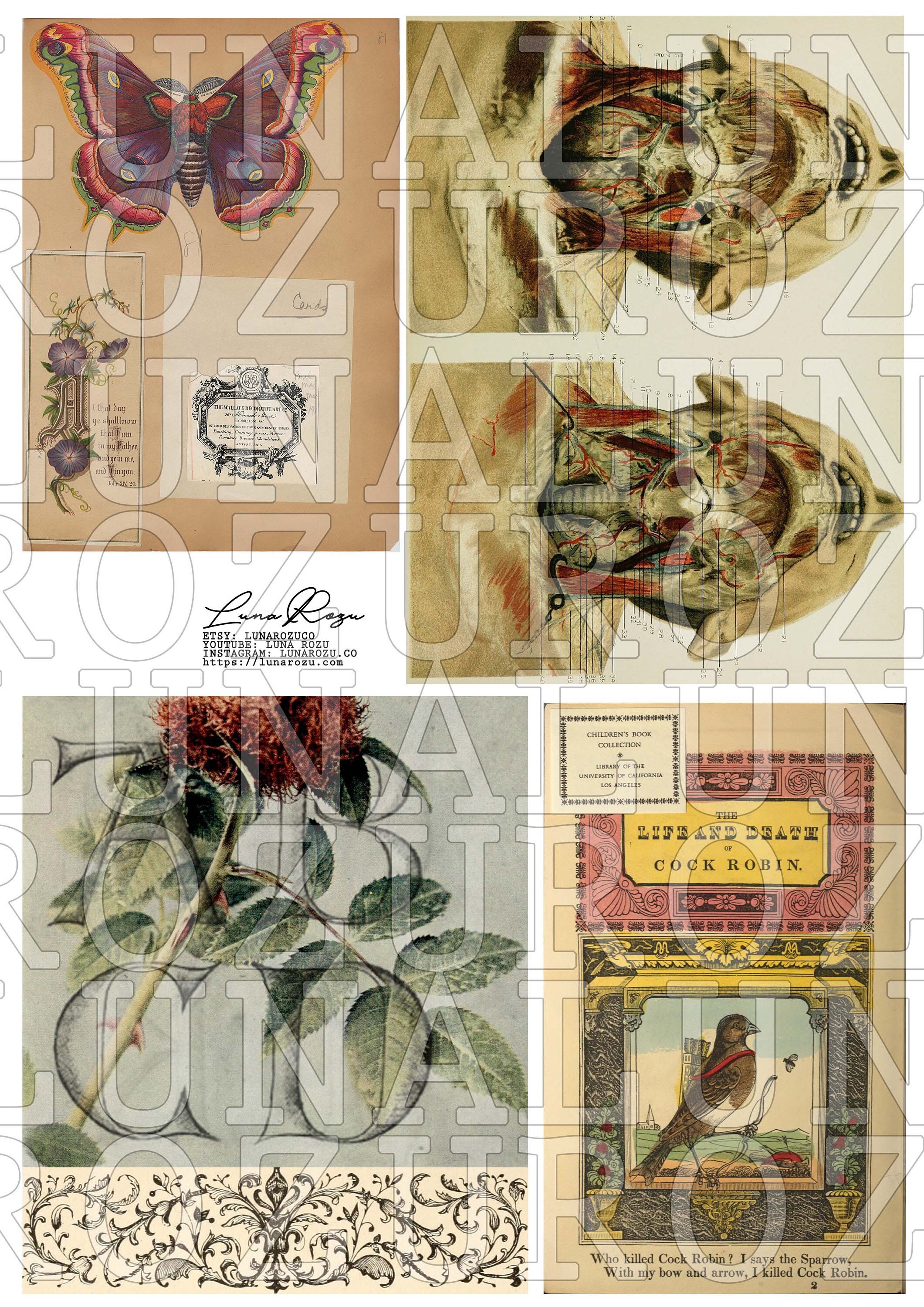 Digital Download Vintage Crime Ephemera Pack - Etsy