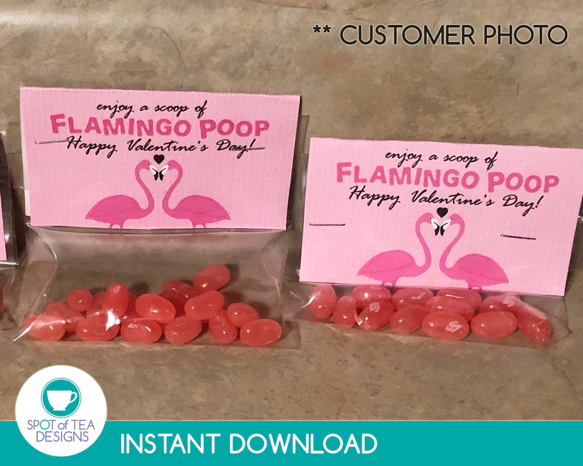 Flamingo Poop Valentines Bag Topper: Printable Party Favor (PDF Instant ...