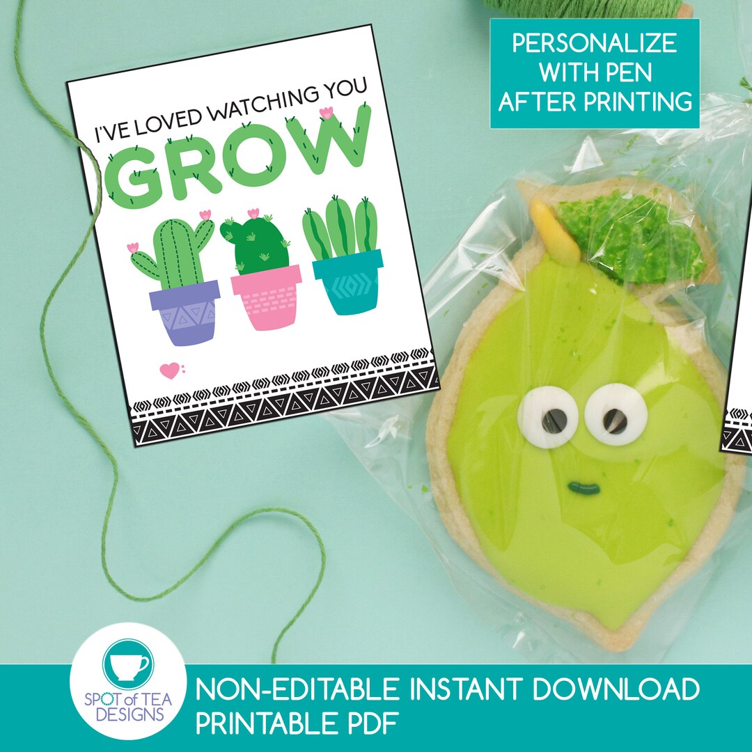 Last Day of School Cactus Tag | Student Appreciation Gift | End of ...