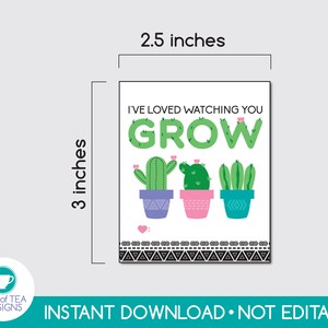Last Day of School Cactus Tag | Student Appreciation Gift | End of ...