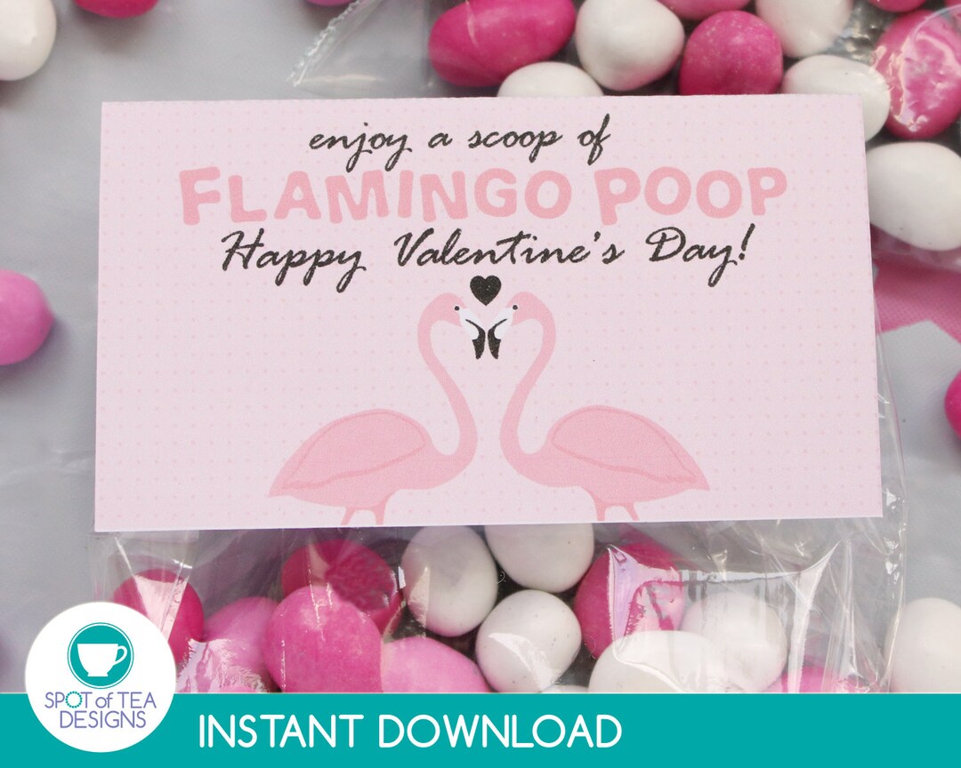Flamingo Poop Valentines Bag Topper Valentines Treat Bag - Etsy