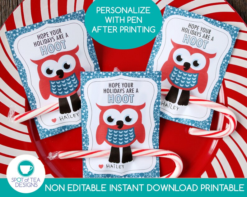 Owl Candy Cane Favor Tags Candy Cane Holder Christmas - Etsy