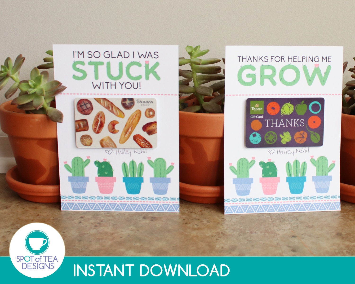 Cactus Teacher Appreciation Gift Card Holder Teacher | Etsy