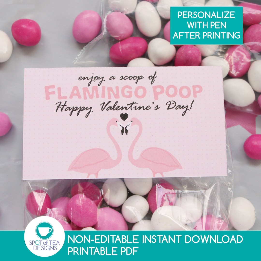 Flamingo Poop Valentines Bag Topper: Printable Party Favor (PDF Instant ...