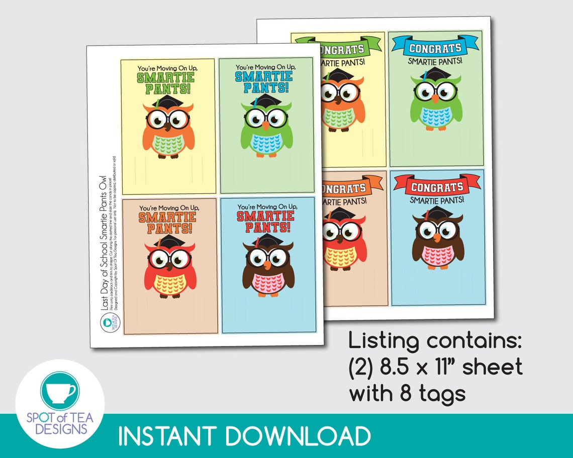 Last Day of School Smartie Pants Owl Teacher Version Last | Etsy