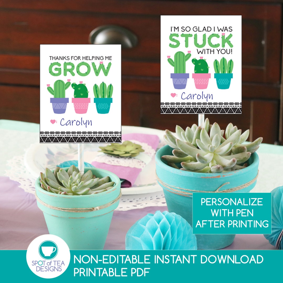 Cactus Teacher Appreciation Tag | Teacher Appreciation Gift | Teacher ...