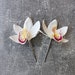 Orchid Hair Pin White Orchid Flowers Booby Pins Beach Wedding Hair ...