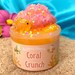 Coral Crunch, Icee Bingsu Slime, Popular Slimes Shop,scented , Kids ...