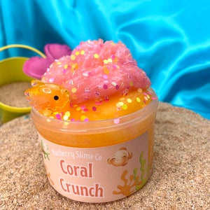 Coral Crunch, Icee Bingsu Slime, Popular Slimes Shop,scented , Kids ...