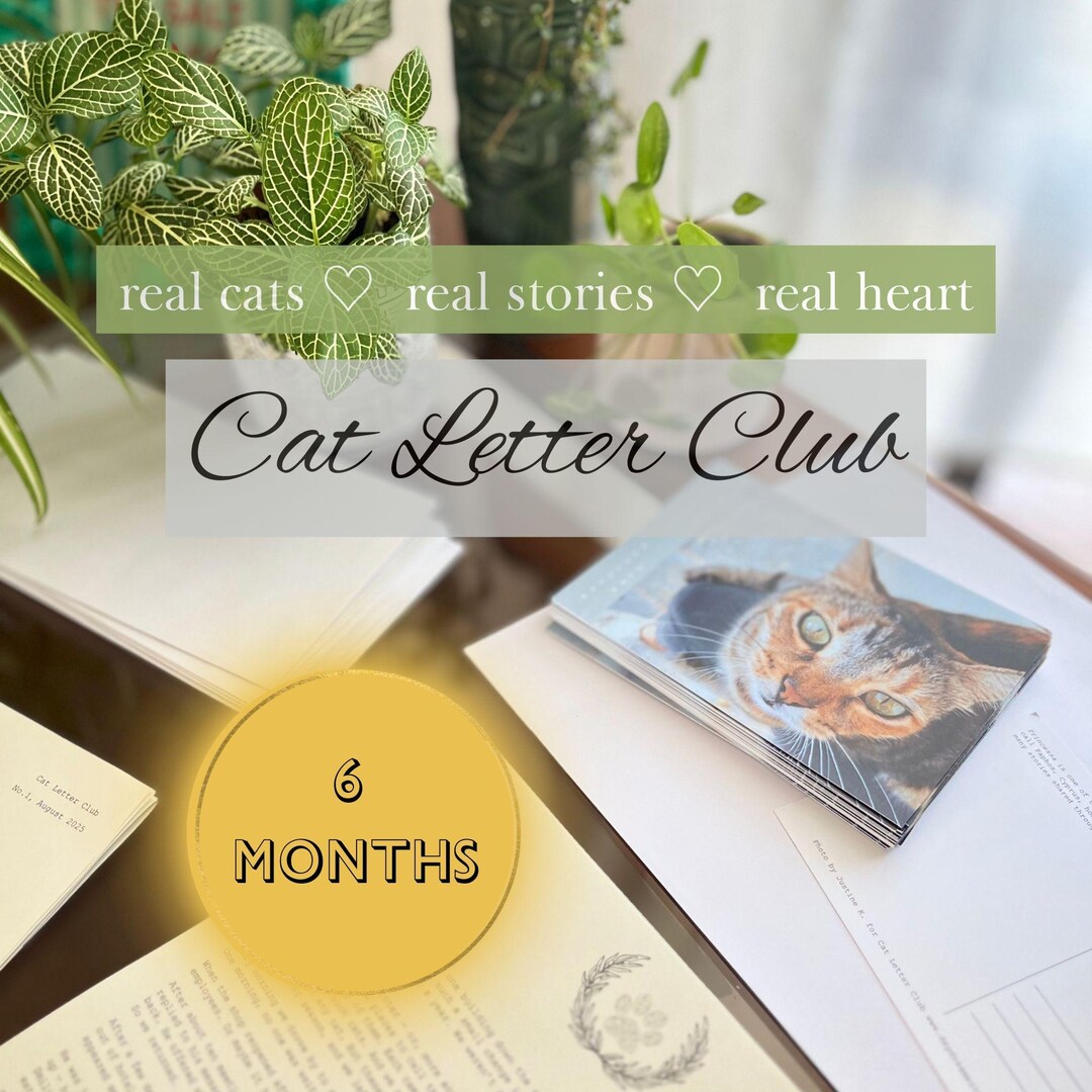 Cat Letter Club: Monthly Subscription - Real Cyprus Cat Stories - Etsy