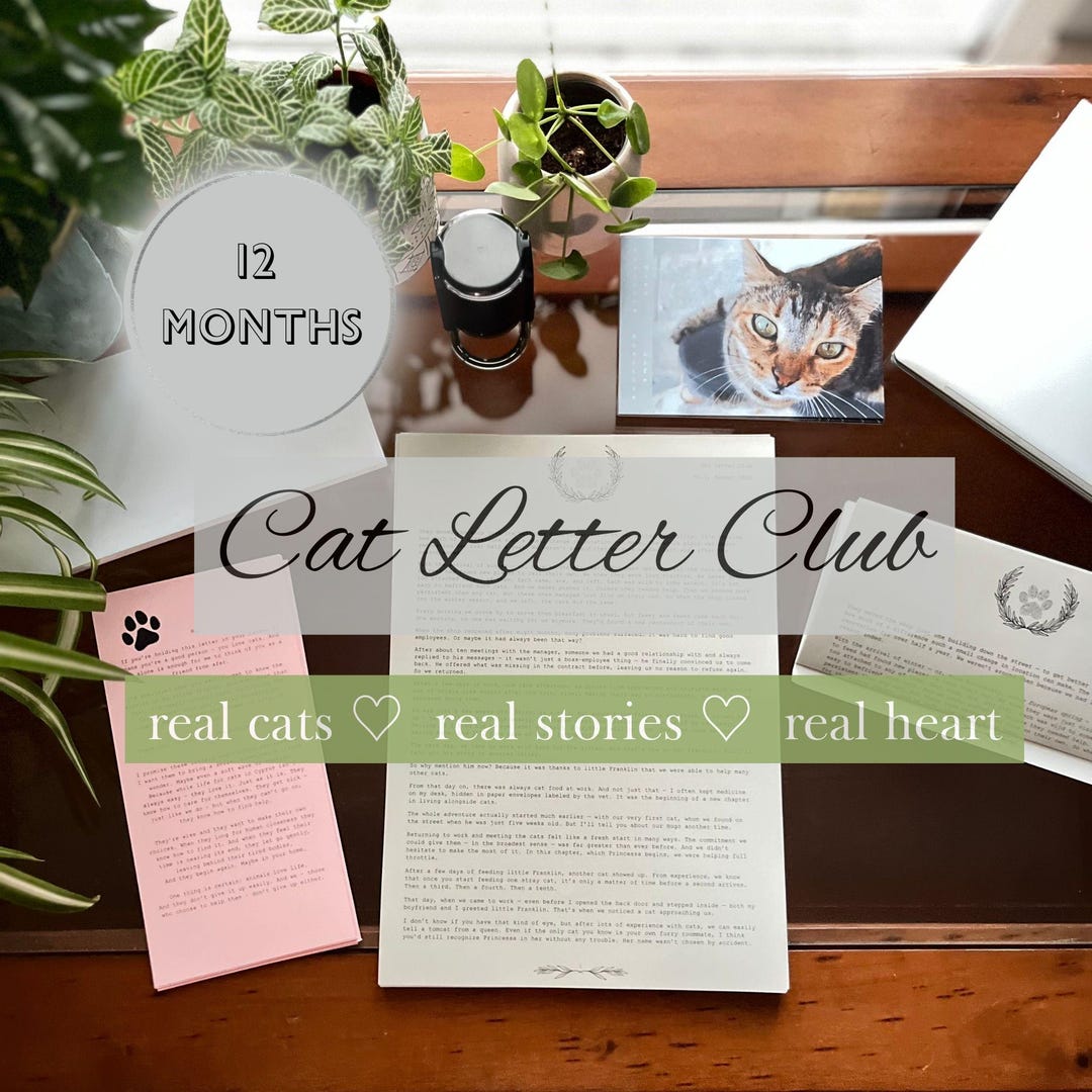 Cat Letter Club, Monthly Letter Subscription, Real Stories of Cats in ...