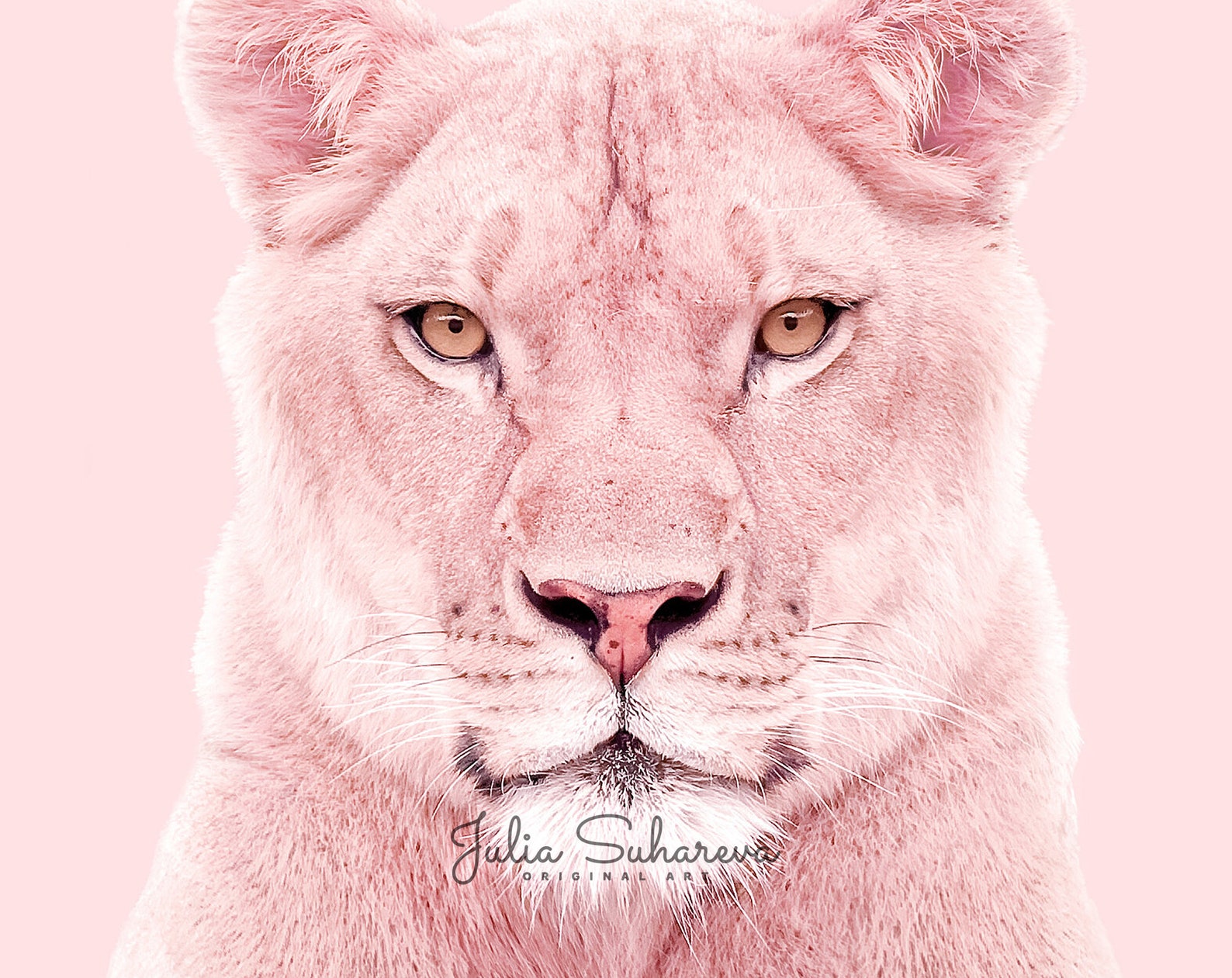 Pink Lioness Print Printable Animal Art by Julia Suhareva | Etsy