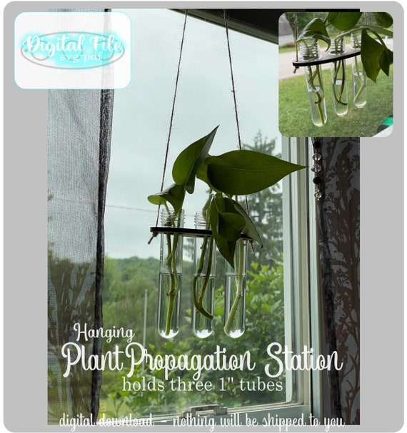 PROPAGATION STATION BUDVASE Svg Pdf Cut File Glowforge Bud - Etsy