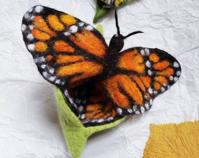 Felt Monarch Butterfly Life Cycle. Teaching Resources, Science Props, Story Telling, Nature ...