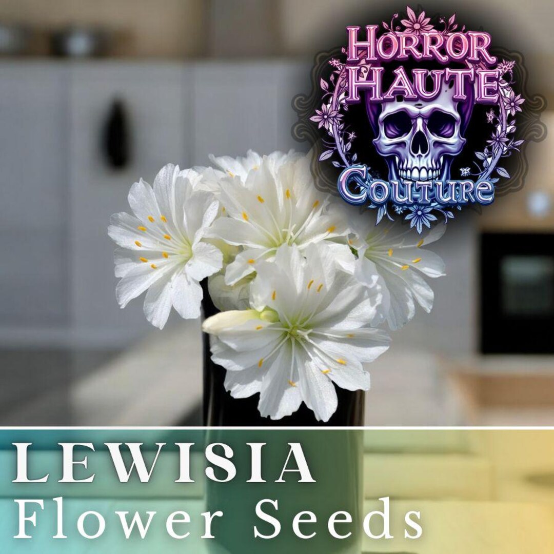 Pure Chantilly Lewisia Seeds 35+ Seeds Flower, Flower Seeds, Annual ...