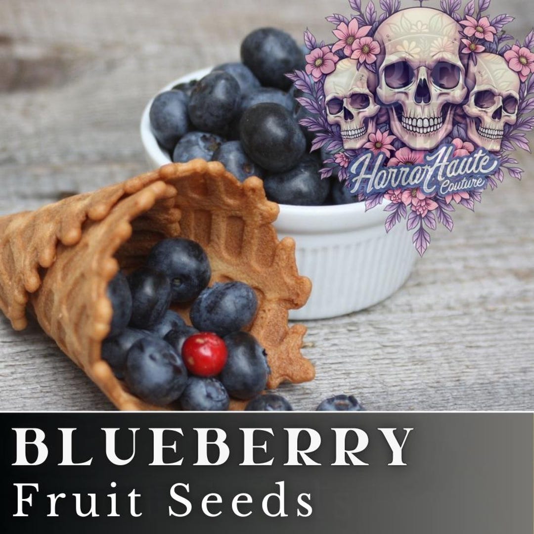 Lunar Blueberry Seeds 200, 750 or 3,200 Seeds Fruit Seeds, Non GMO ...