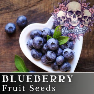 Frostberry Blueberry Seeds 200, 750 or 3,200 Seeds Fruit Seeds, Non GMO ...