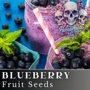 Frostberry Blueberry Seeds 200, 750 or 3,200 Seeds Fruit Seeds, Non GMO ...