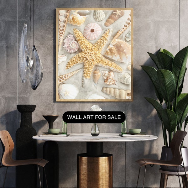 Seashell Wall Art - Etsy