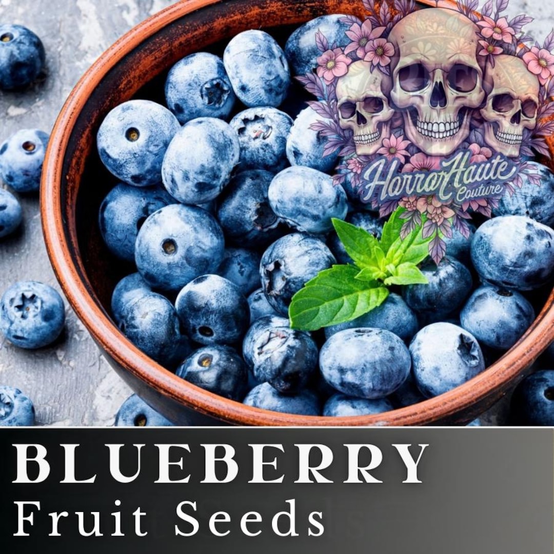 Frostberry Blueberry Seeds 200, 750 or 3,200 Seeds Fruit Seeds, Non GMO ...