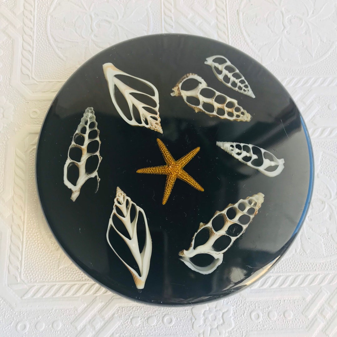 Acrylic Coated Shells in A Black Riser or Trivet - Etsy