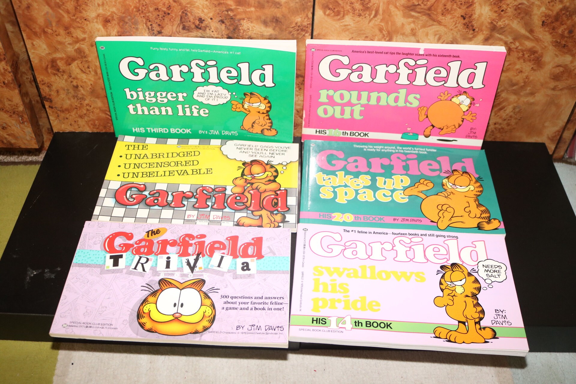 Garfield Book Lot From the 1980s Comic Book Strip Cat Cartoon Padlock ...