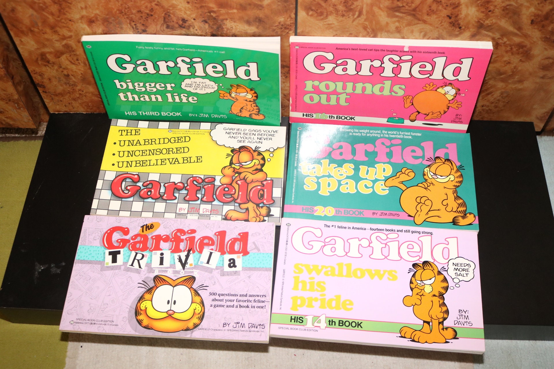 Garfield Book Lot From the 1980s Comic Book Strip Cat Cartoon Padlock ...