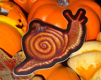 Pumpkin Snail Sticker, Fall Snail Sticker, Halloween Stickers - Etsy