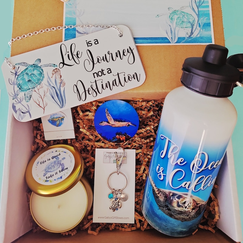 Turtle Gifts - 60+ Gift Ideas for 2025