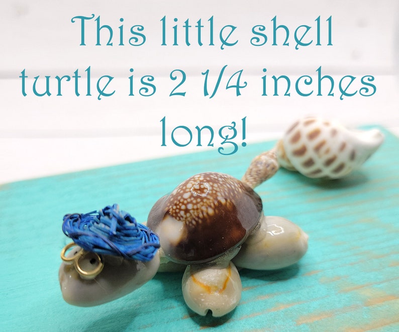 Happy Birthday Sea Turtle Gift Box Turtle Shell Gift for Her - Etsy