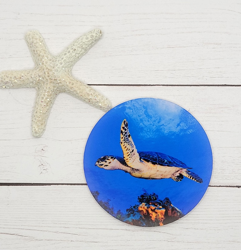 Happy Birthday Sea Turtle Gift Box Turtle Shell Gift for Her - Etsy