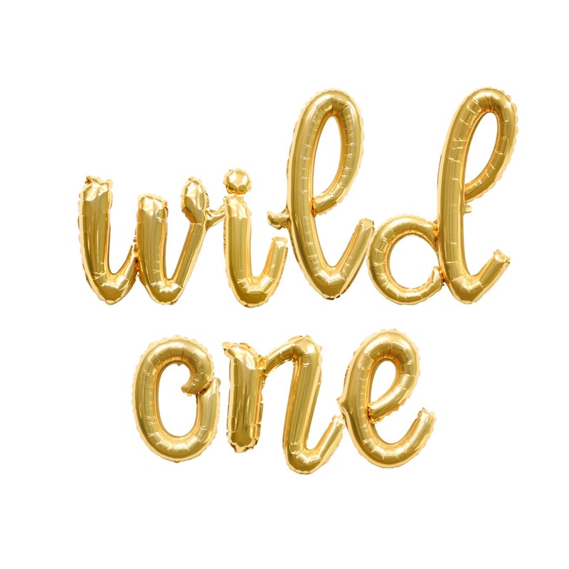 Wild One Banner - Etsy